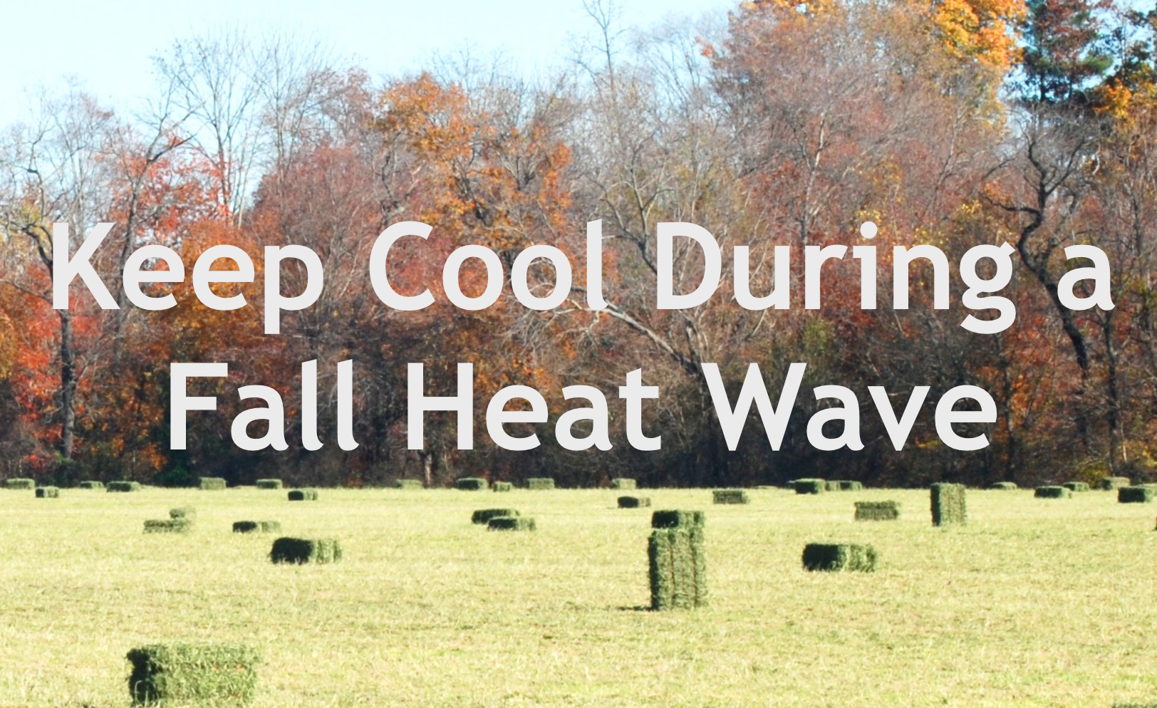 Keep Cool During a Fall Heat Wave! – Hewes Family Fun