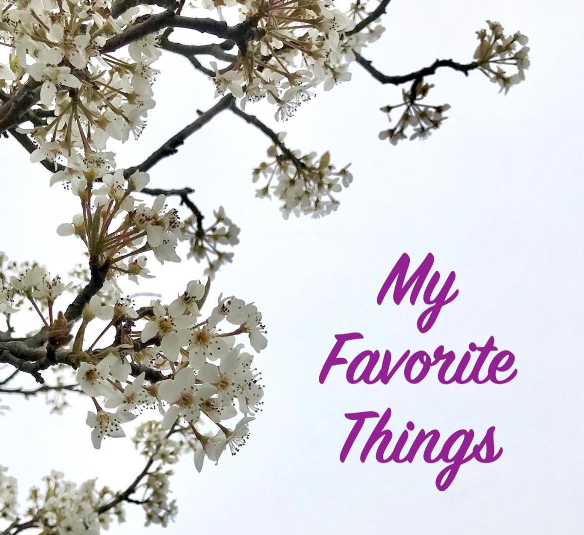 My Favorite Things- Spring/Summer Edition – Hewes Family Fun